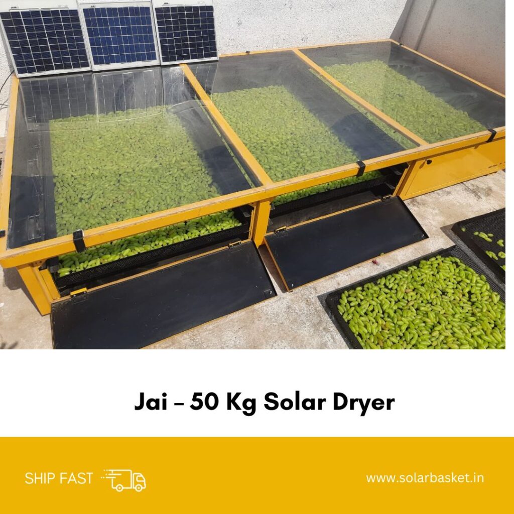 Jai – 50 Kg Solar Dryer - Solar Basket